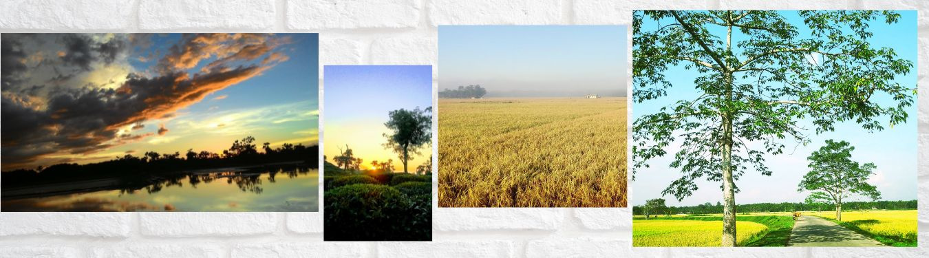 Home | Hailakandi | Government Of Assam, India